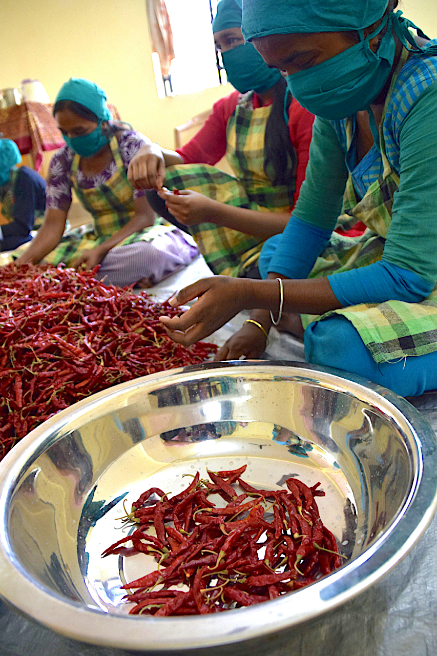 India Fundraiser | Women’s Interlink Foundation – The Village Experience